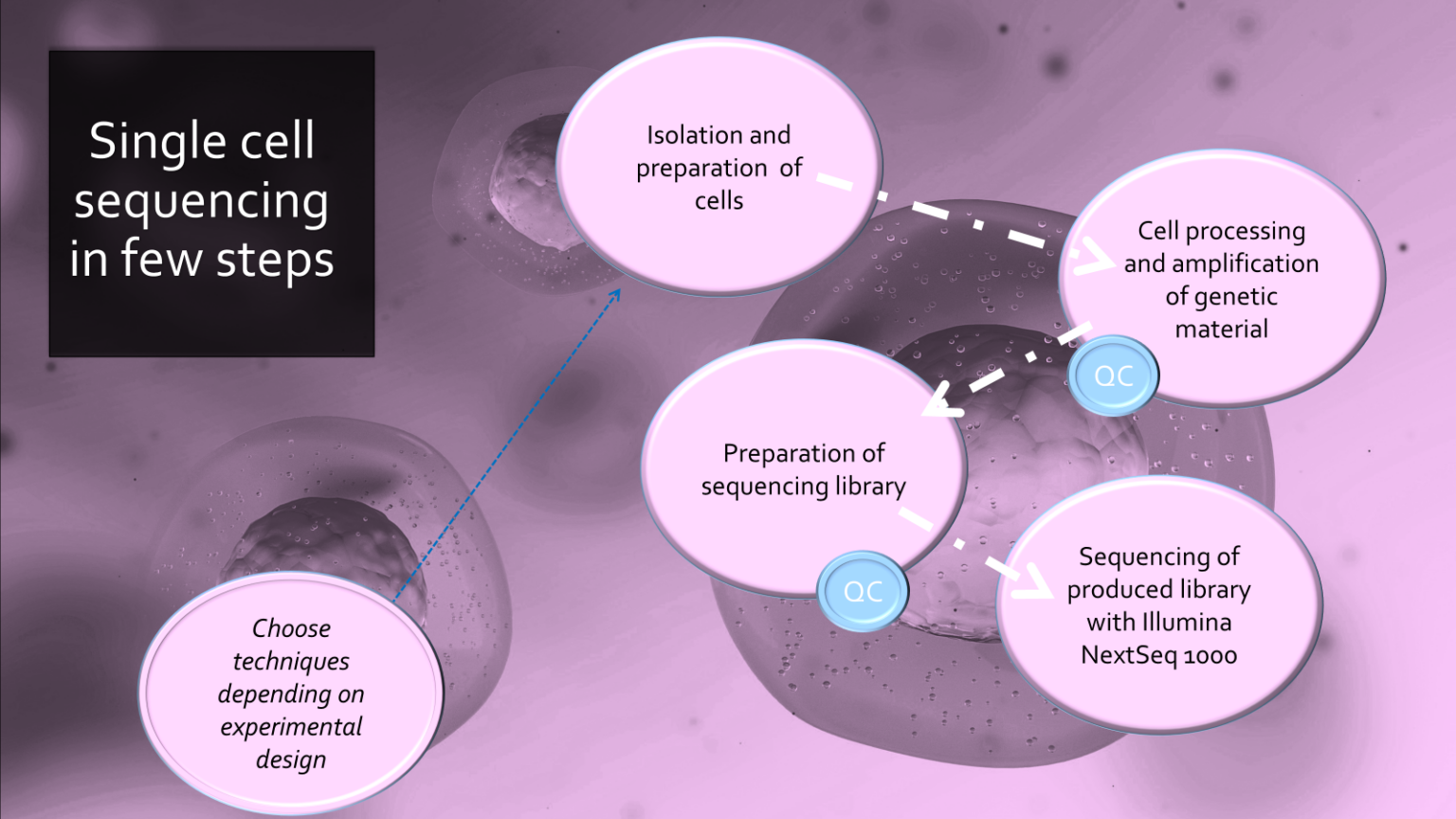 Illumina Next Seq 1000 – BBSRC Single Cell Sequencing Platform